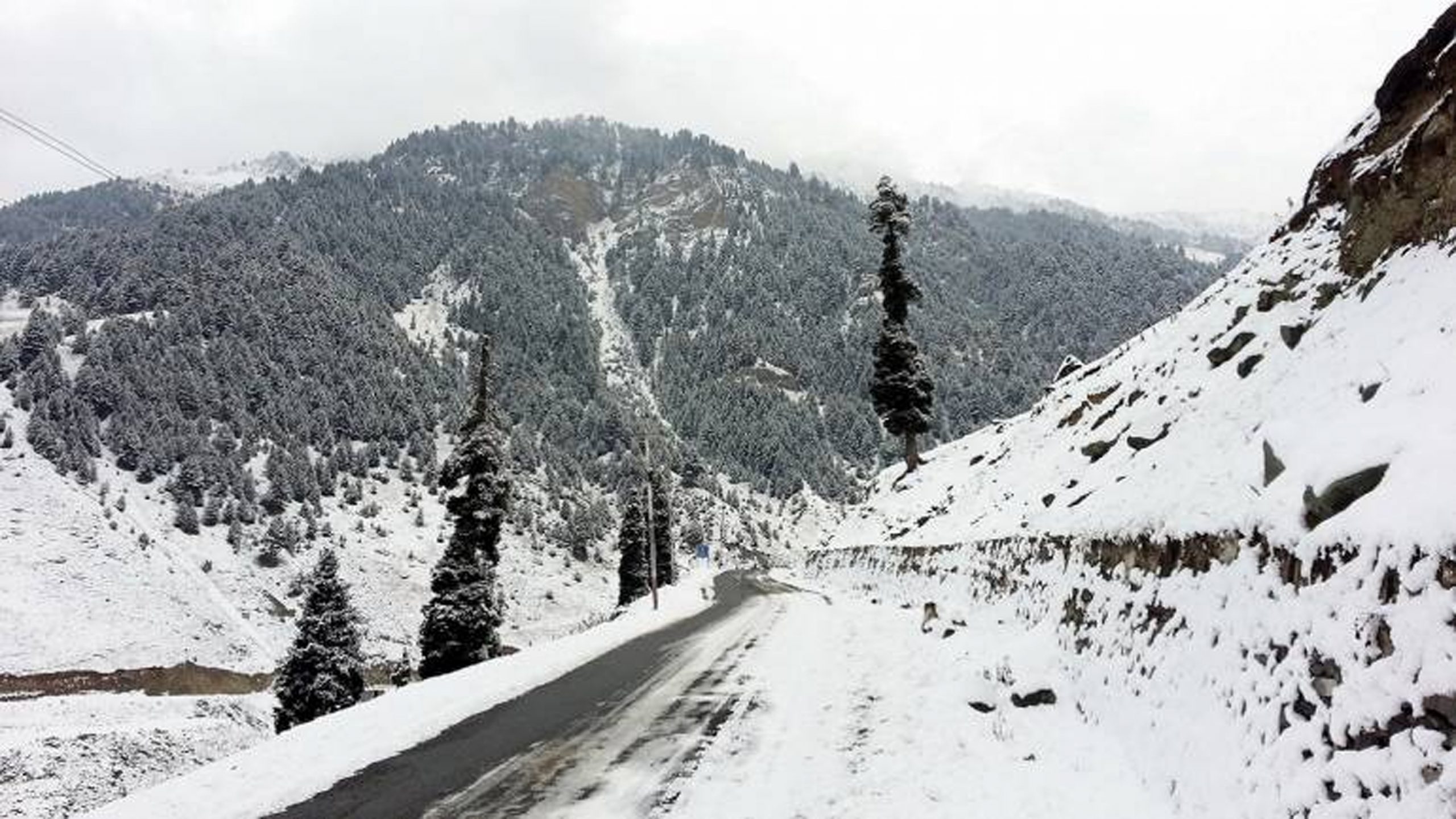 Mughal road opens after 9 days closure – The Dispatch