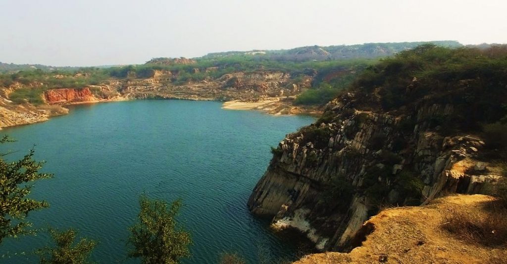 “Fractured Forest, Quartzite City” explores the ecological history of ...