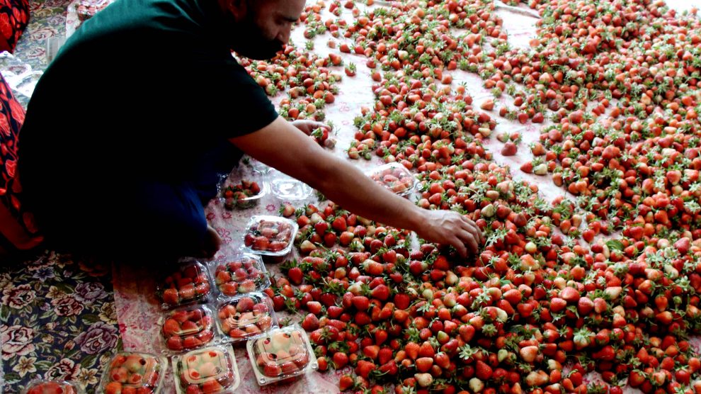 Encroachment due to unplanned urbanisation, tourist activities ...