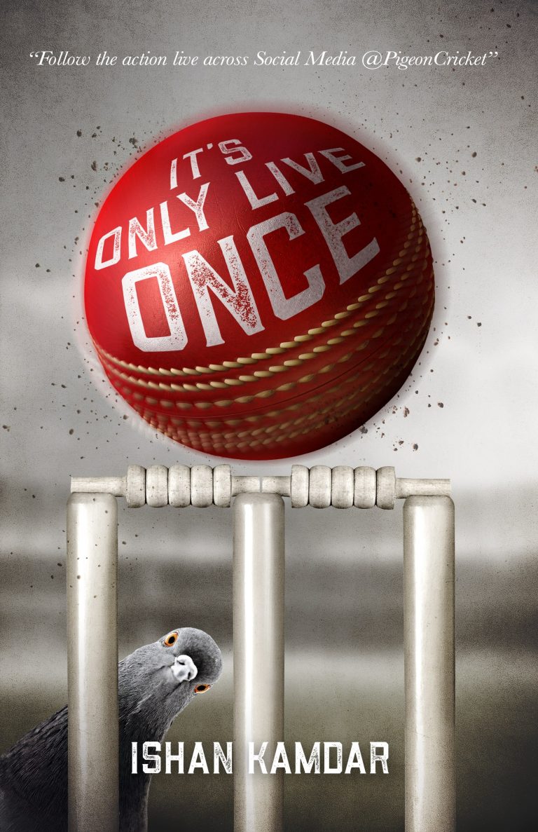 This book is written using “book cricket”, with the twists and turns of ...