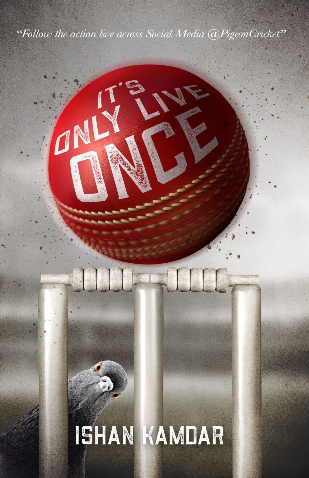This book is written using “book cricket”, with the twists and turns of ...