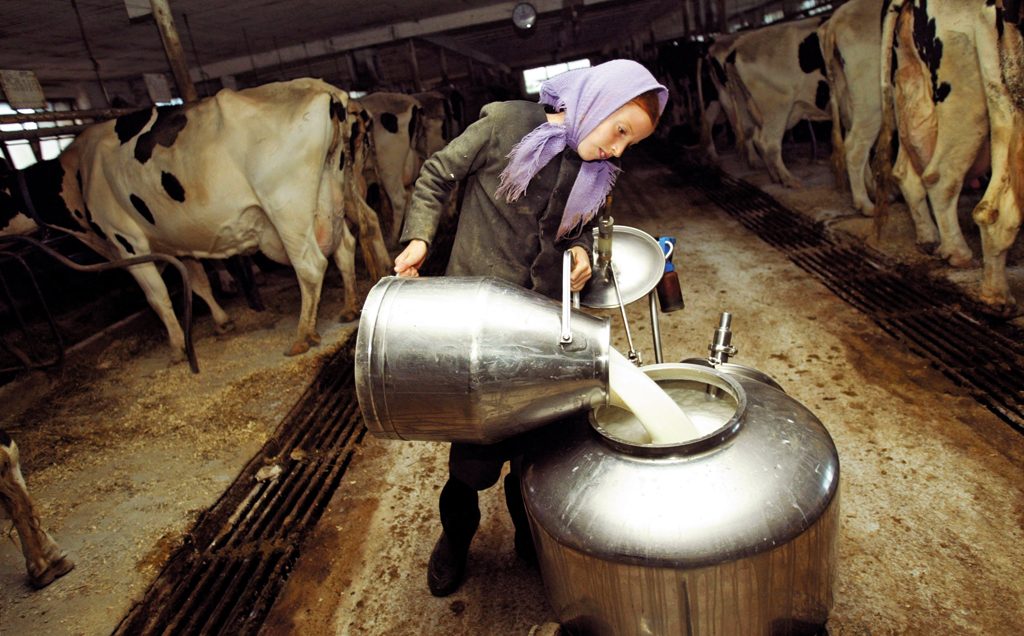 Jerri hamlet declared as ‘milk village’ in J&K – The Dispatch