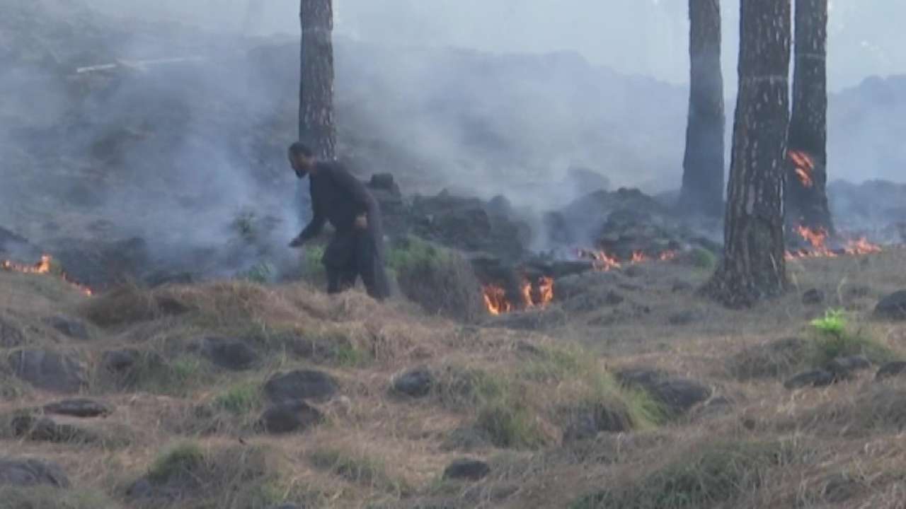 Villagers in Udhampur fear that forest fire might enter residential ...
