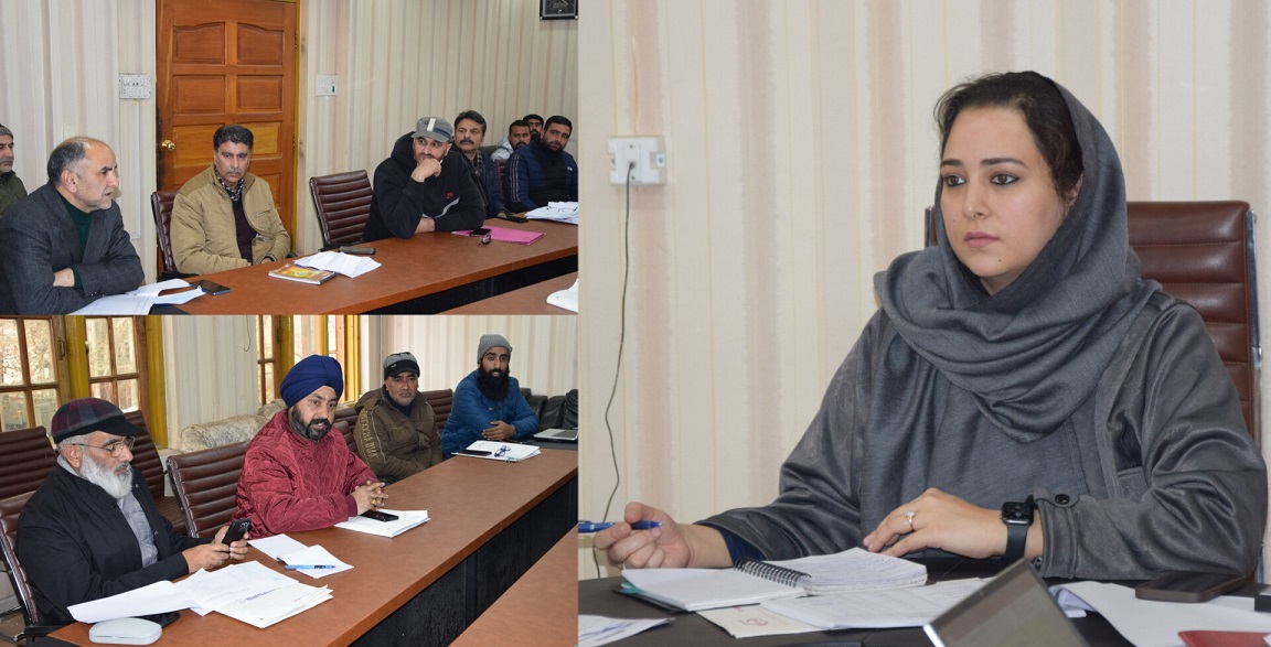 Adopt various strategies to ensure fair and smooth supply of power: Dr ...