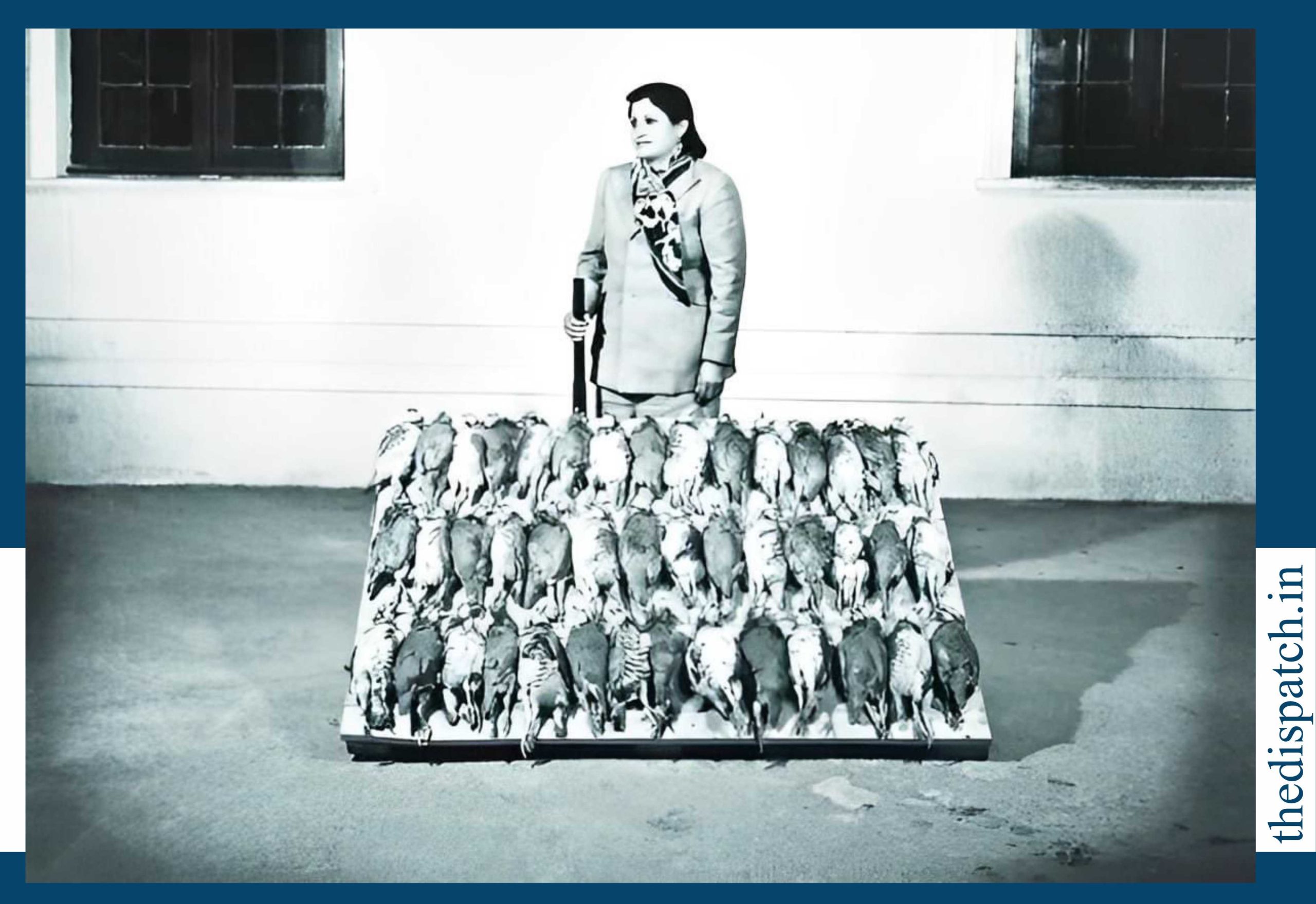 1930s. From Tara Devi to Maharani Tara Devi – The Dispatch