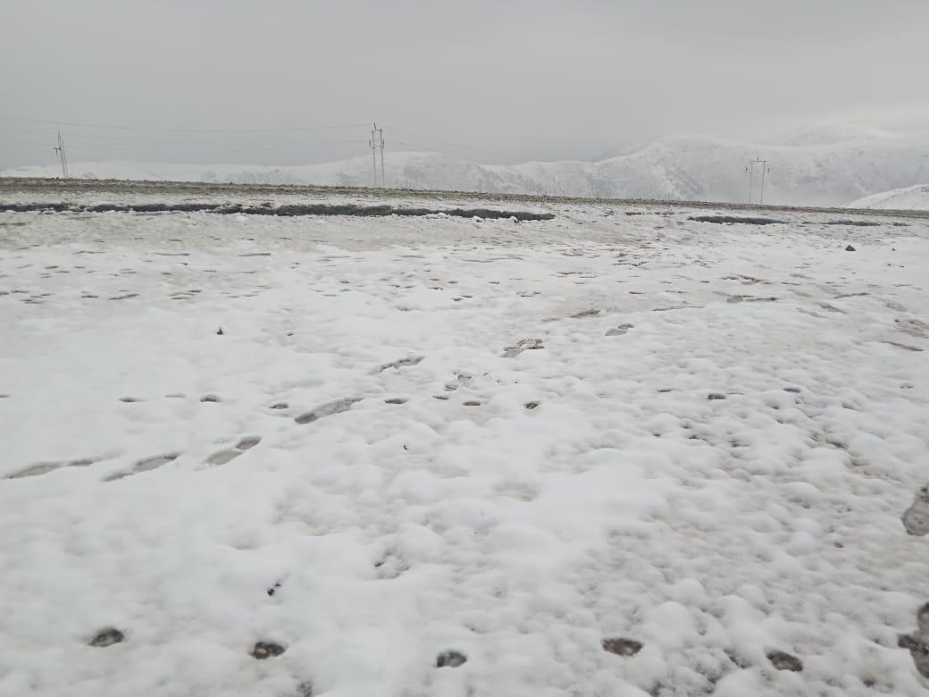 Kashmir higher reaches receive fresh snowfall, Gurez-Bandipora ...