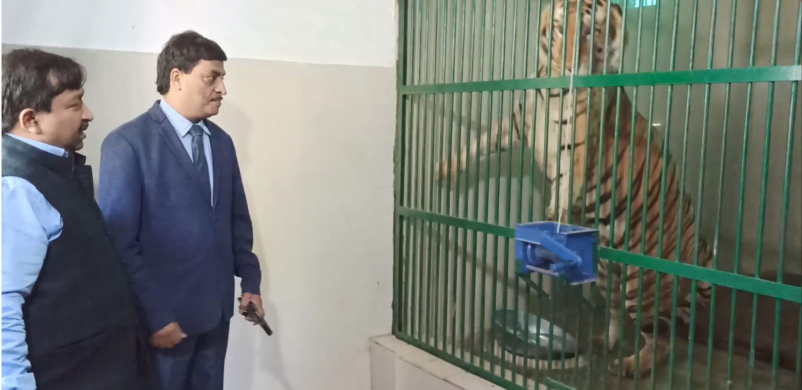 Jambu Zoo roars to life with arrival of Lions and Tigers – The Dispatch